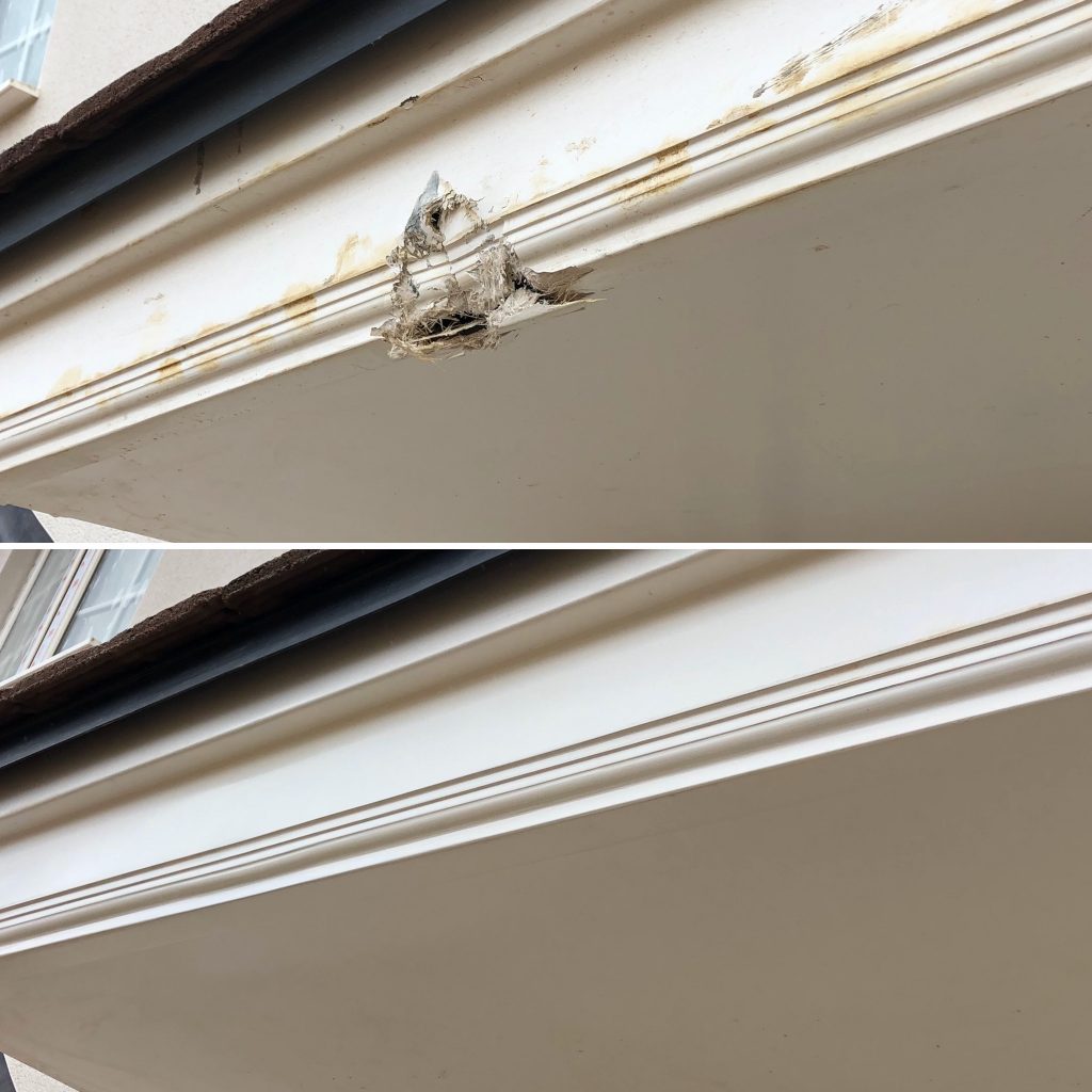 Badly Damaged Canopy | Surface Wizard