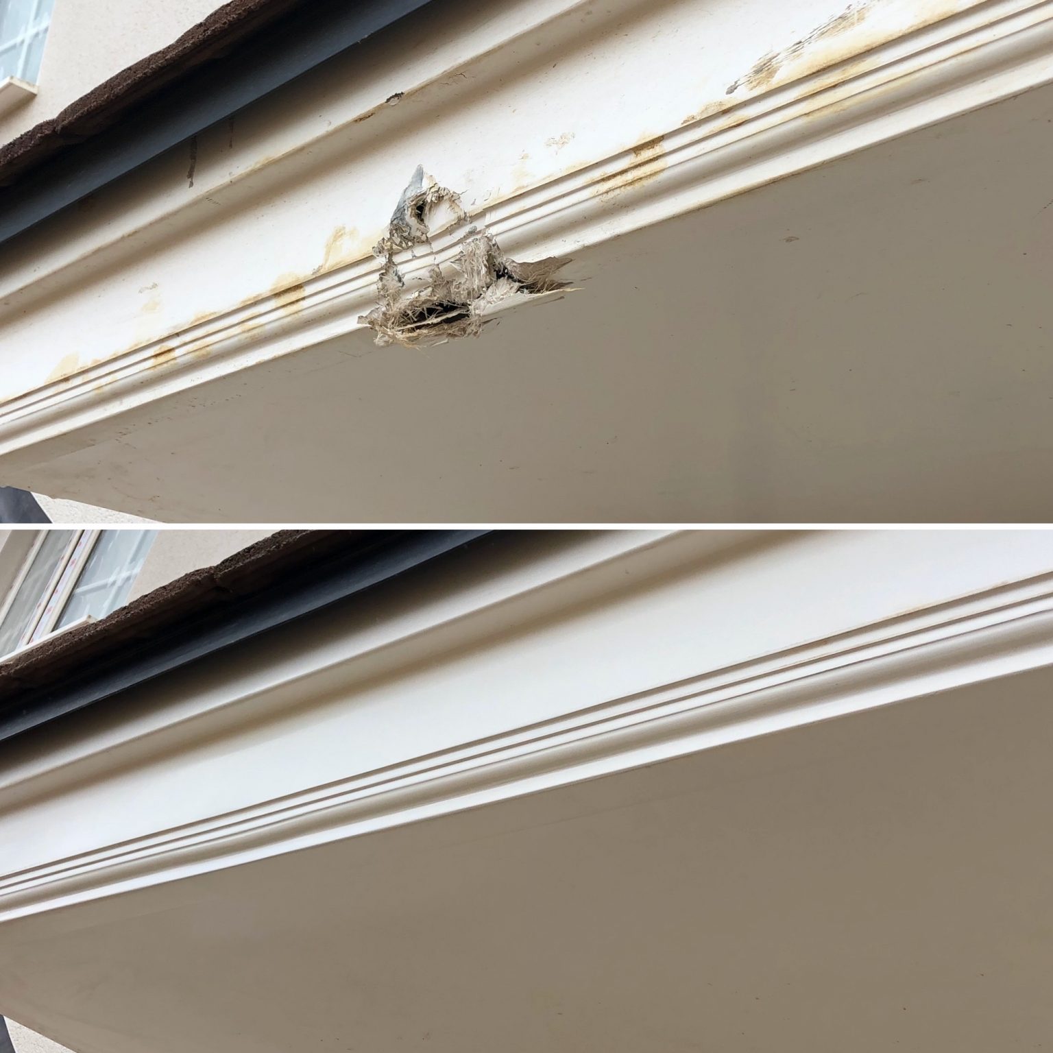 Badly Damaged Canopy | Surface Wizard